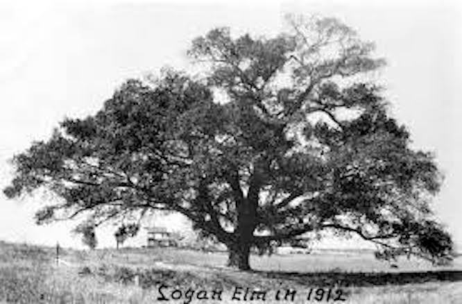 The Logan Elm | West Bend News